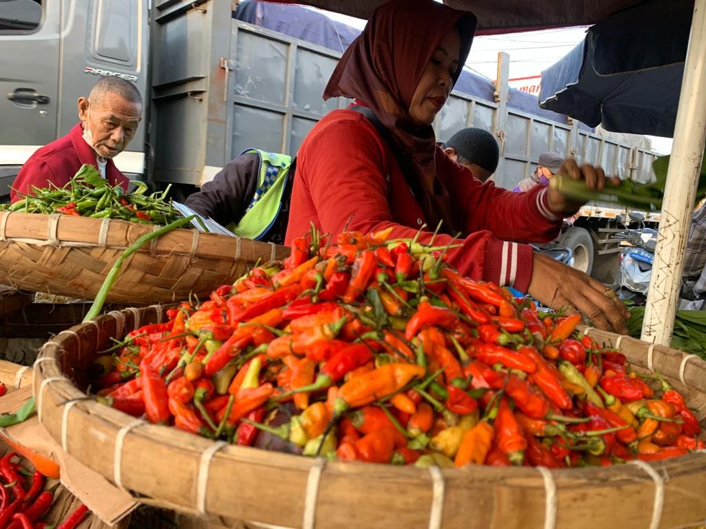 Jaga Stabilitas Harga Cabai, Begini Strategi Pemerintah Jaga Stabilitas Harga Cabai, Begini Strategi Pemerintah