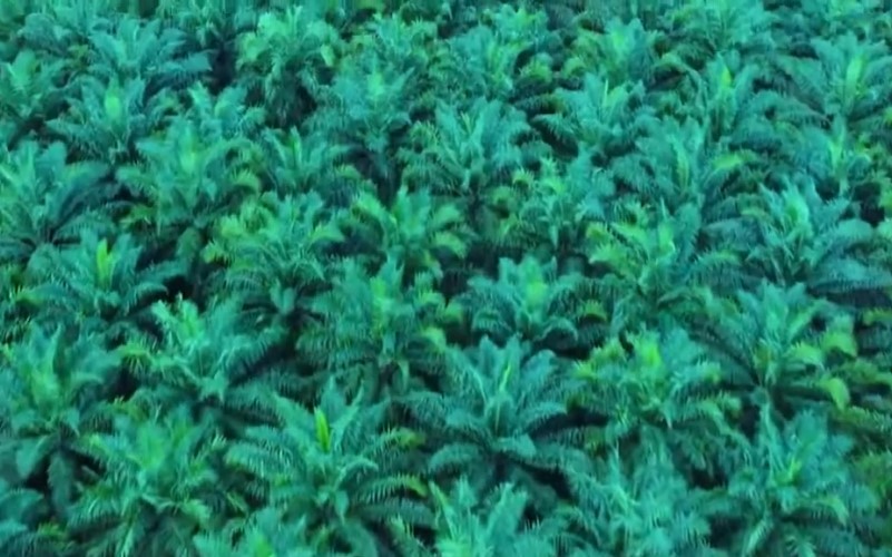 TAPG Cetak Laba Bersih Rp3,84 Triliun di 2025, Tumbuh 19 Persen | News+ ...