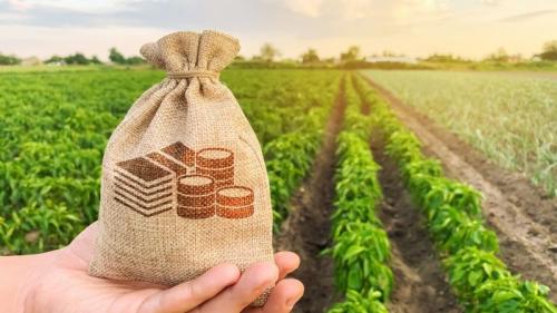 5 Tips Memulai Investasi Tanah Dengan Modal Kecil 5 Tips Memulai Investasi Tanah Dengan Modal Kecil