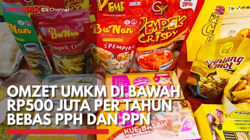 Omzet UMKM di Bawah Rp500 Juta per Tahun Bebas PPh dan PPN