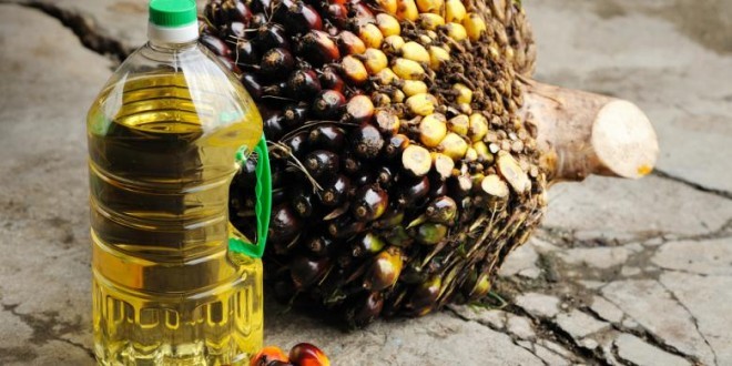 Biodiesel B35 Berlaku Hari Ini, Harga TBS Sawit Bisa Ngegas Lagi