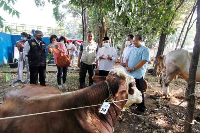 Tak Hanya Sediakan Lahan Parkir, Katedral Berikan Hadiah Sapi Ke Istiqlal